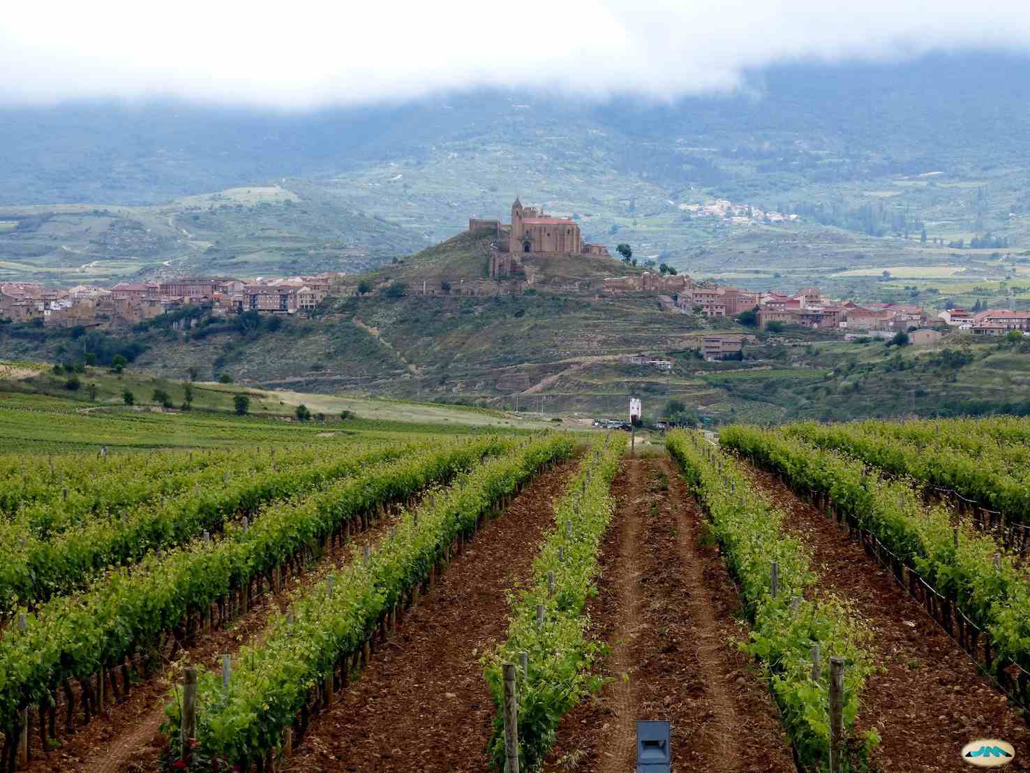 Le origini del vigneto spagnolo - Azione